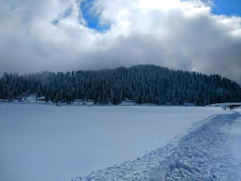 Srinagar: Gulmarg Day Tour - Explore the Meadow of Flowers - Final Thoughts: Who Will Love This Tour?