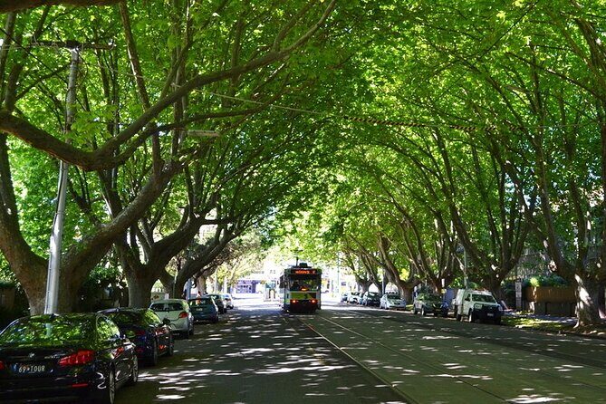 St Kilda Super Tour in Melbourne - Who Will Love This Tour?