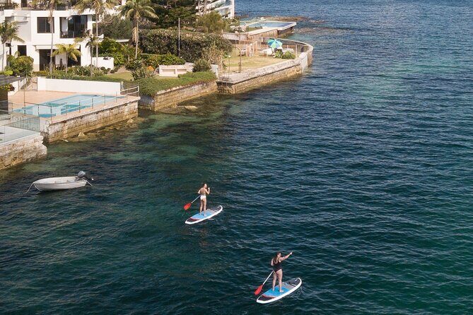 Stand Up Paddle Board Hire - 2 Hours - The Location: Manly Kayak Centre and East Side Pier