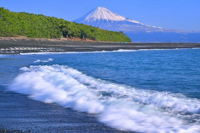 Step-Free easy going tour from Shimizu Port / Small bus - An Overview of the Experience