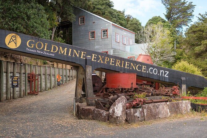 [Stevong Travel] West Coromandel Day Tour - Practical Details and Tips