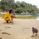 Stewart Island: Ulva Island Guided Wilderness Walk & Cruise - What to Expect on the Tour