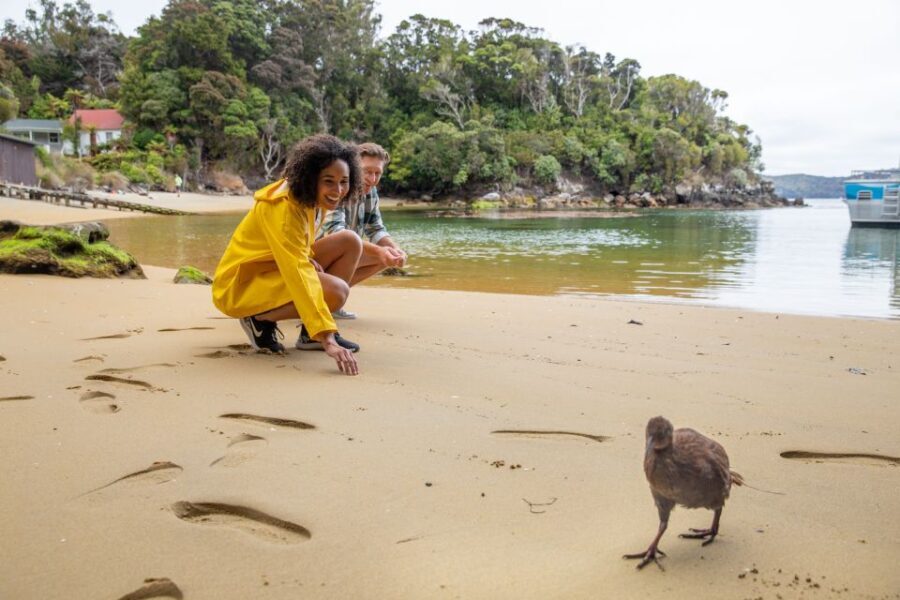 Stewart Island: Ulva Island Guided Wilderness Walk & Cruise - What to Expect on the Tour