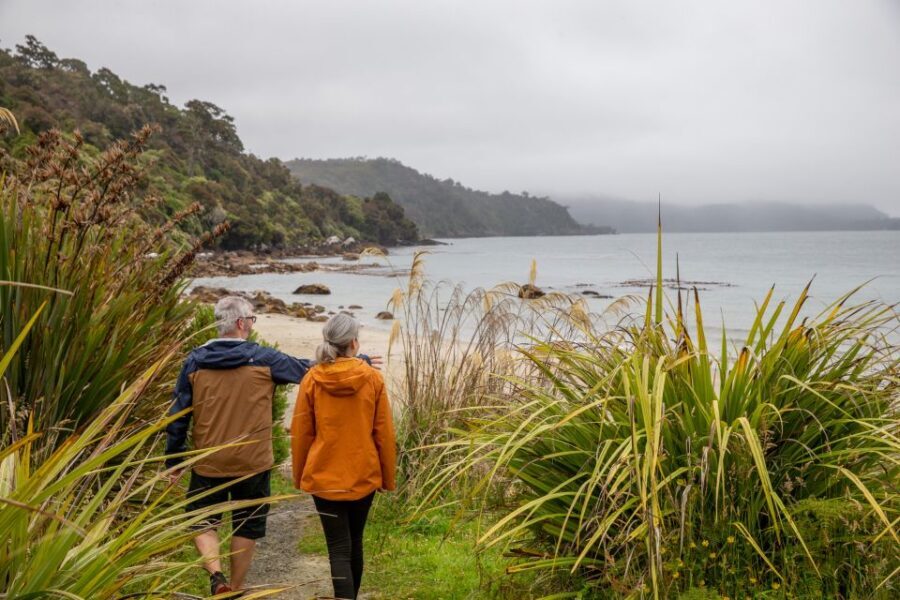 Stewart Island: Village and Bays Tour - Price and Value