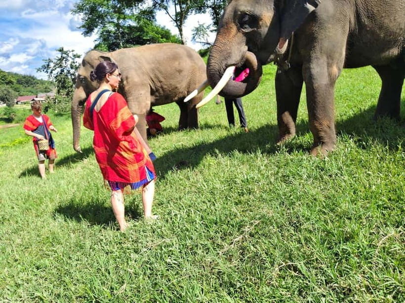 Sticky waterfalls- Elephants- Bamboo or White water rafting. - A Day of Thrills and Compassion in Chiang Mai