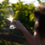 Strange Bird Flight of 3 Wine & Cheese - Final Thoughts: Is It Worth It?