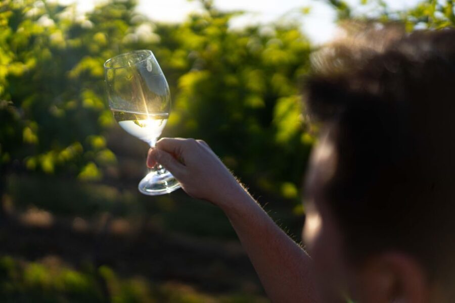 Strange Bird Flight of 3 Wine & Cheese - Final Thoughts: Is It Worth It?