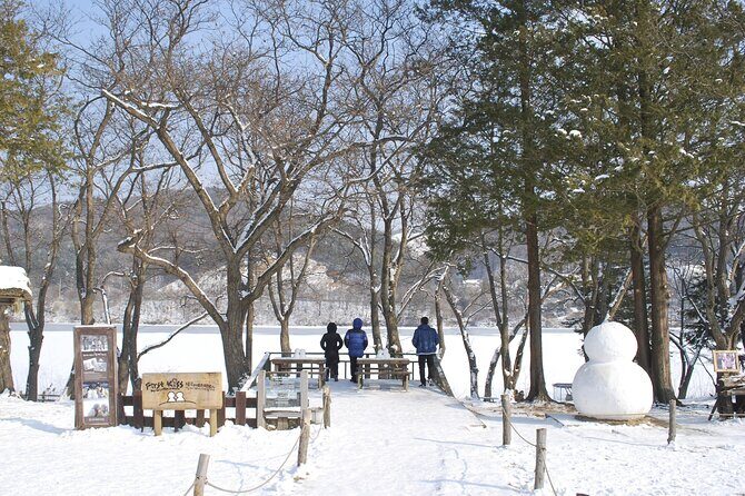 Strawberry & Nami Island & Garden Trip (+Opt Gangchon Railbike) - Practical Details and What to Expect