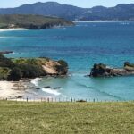Stunning Auckland East Coast Walk & Wine Private Tour - The Value of This Tour