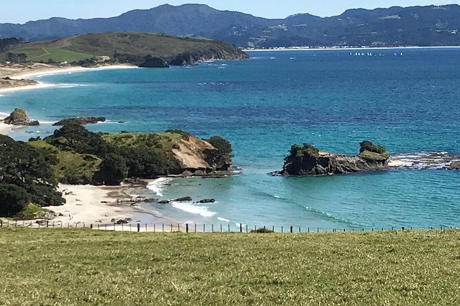 Stunning Auckland East Coast Walk & Wine Private Tour - The Value of This Tour