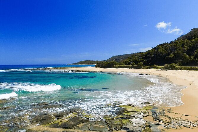 Stunning Great Ocean Road Day Tour | Pick Up From Melbourne - Stop 3: Apollo Bay & Loch Ard Gorge (Approx. 3 hours total)