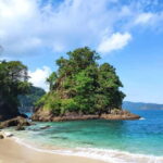 Sukamade Tour , see turtles laying eggs naturally 2D1N - Who Will Love This Tour?