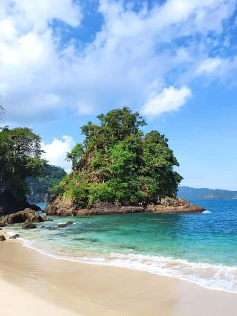 Sukamade Tour , see turtles laying eggs naturally 2D1N - Who Will Love This Tour?