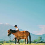 Sumba: Horseback Riding, Swimming, and Picnic Tour - Swimming with Horses – A Magical Moment