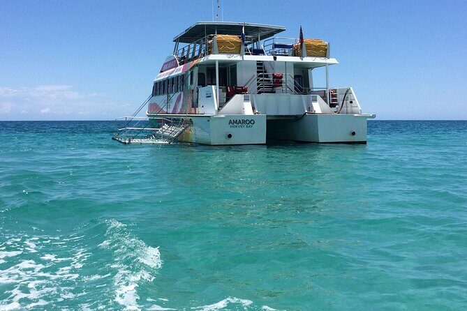 SUMMER K'gari (Fraser Island) Boom-net & Sightseeing Cruise - Practical Details and Tips for Travelers