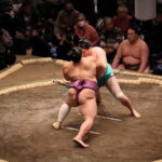 Sumo Tournament: Guided Tour + Ticket & Assigned Seat - The Itinerary: What You’ll Experience