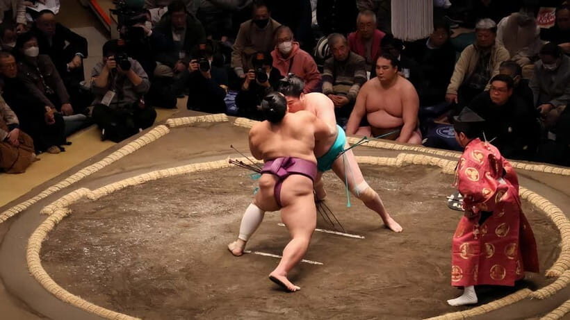 Sumo Tournament: Guided Tour + Ticket & Assigned Seat - The Itinerary: What You’ll Experience