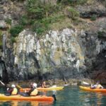 Sunrise wildlife sea kayaking in Akaroa marine reserve - The Itinerary: What to Expect