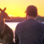 Sunrise with the kangaroos and wallabies - Who Will Love This Tour?