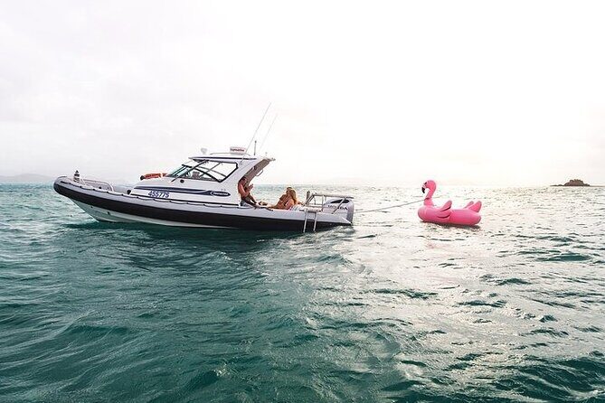 Sunset Cruise Private Charter Hamilton Island - Setting the Scene: The Experience