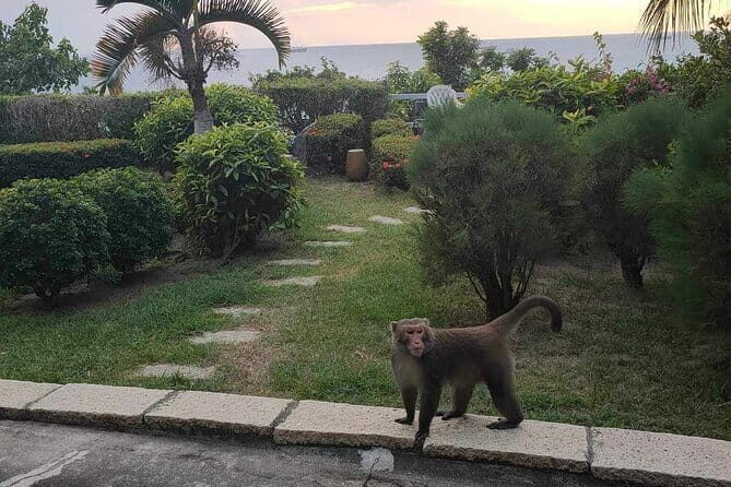 Sunset Dinner on Monkey Mountain - Final Thoughts: Is It Worth It?