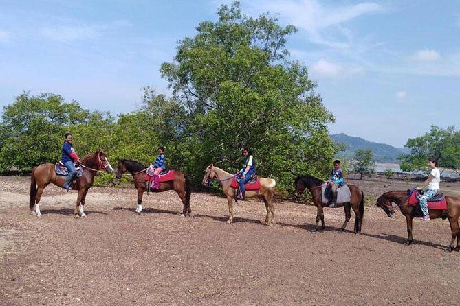 Sunset Horse Riding Tour at Ao Nam Mao Beach Krabi - Why This Tour Works for Travelers