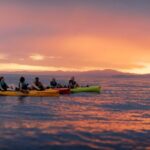 Sunset Kayak tour in Kaikoura - Who Should Consider This Tour?