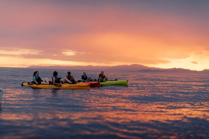 Sunset Kayak tour in Kaikoura - Who Should Consider This Tour?