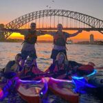 Sunset Paddle Session on Sydney Harbour - The Experience: What We Learned from Reviews