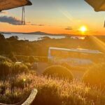 Sunset Scenic Dinner Tour on Beautiful Waiheke Island - What’s Included & What’s Not
