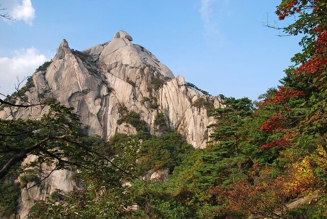 Sunset view & hiking through Seoul Fortress with seafood Market - What Makes This Tour Stand Out?