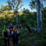 Sunset Yoga Hike in Australia - The Itinerary in Detail