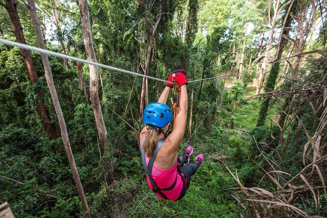 Sunshine Coast Adventure Park TreeTop Challenge - Final Thoughts: Is It Worth It?
