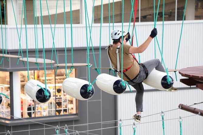Sunshine Coast High Ropes Course - The Experience Breakdown: What to Expect at the Sunshine Coast High Ropes Course