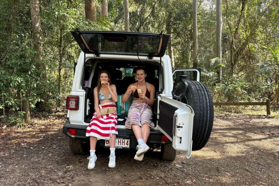 Sunshine Coast: Hinterland Adventure Private 4WD Jeep Tour - Who This Tour Is Best For