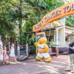 Sunshine Coast Hinterland Private Tour from Brisbane - The Practicalities