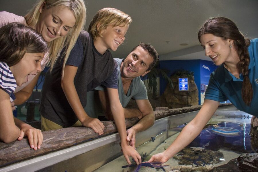 Sunshine Coast: SEA LIFE Sunshine Coast Entry Ticket - The Practicalities: Visiting and Value