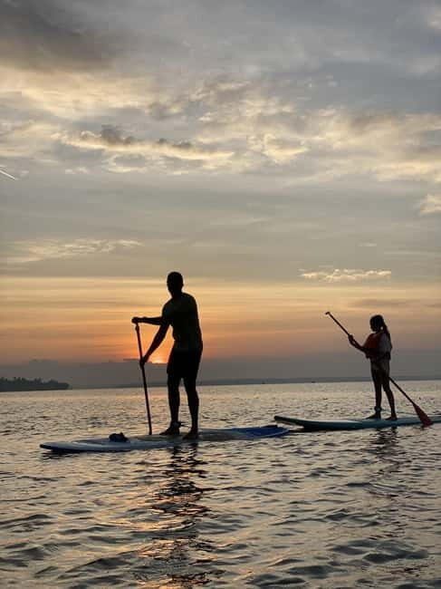 SUP in Kochi: Sunrise Stand-Up Paddleboarding Tour - Who Should Consider This Tour?
