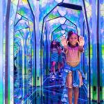 Surfers Paradise: Ripley's Believe It or Not! 3 Way Combo - Practical Details and Tips