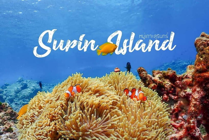 Surin Islands: Diving Day Trip from Khao Lak - What to Expect: From Departure to Return