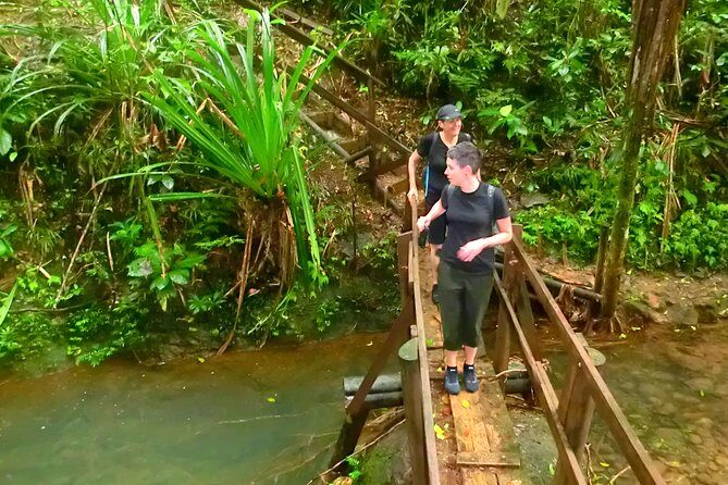 Suva Customized tour- Private - Practical Aspects & Value