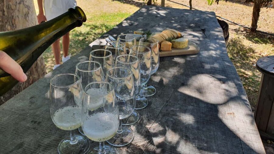 Swan Valley: Full-Day Wine Tour with Lunch - The Value & Overall Experience