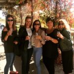 Swan Valley: Half-Day Wine Tour From Perth - What to Expect on the Tour