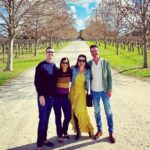 Swan Valley Half Day Wine Tour from Perth - The Real Benefits and What You’ll Love