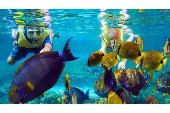 Swim with Manta Rays in Nusa Penida - ALL inclusive - Who Will This Tour Suit Best?