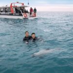 Swimming with Wild Dolphins in Akaroa - The Itinerary Breakdown