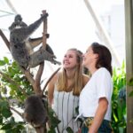Sydney Attractions Pass: SEA LIFE Aquarium, Sydney Tower Eye, WILD LIFE Zoo and Madame Tussauds - The Practicalities