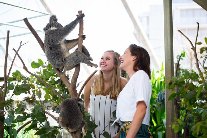 Sydney Attractions Pass: SEA LIFE Aquarium, Sydney Tower Eye, WILD LIFE Zoo and Madame Tussauds - The Practicalities