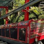 Sydney Blue Mountains Full Day Tour with Return Harbour Cruise - Authentic Experiences and Traveler Insights