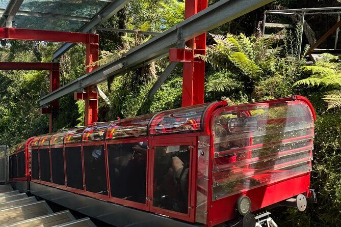 Sydney Blue Mountains Full Day Tour with Return Harbour Cruise - Authentic Experiences and Traveler Insights